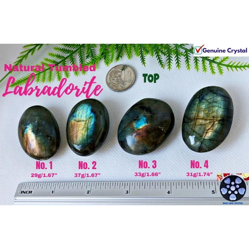 Labradorite Tumbles | Natural with Flash | Shopee Philippines