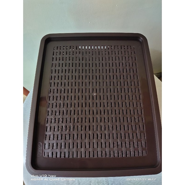 Zooey eco tray with lid | Shopee Philippines