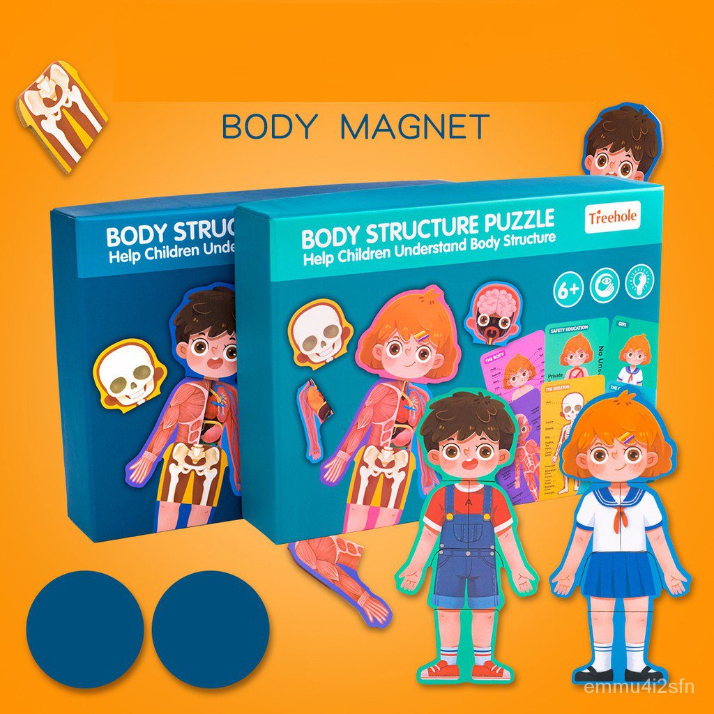 what-is-a-body-count-a-s-treehole-body-structure-puzzle-educational