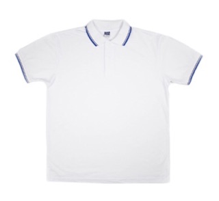 Blue Corner Men's Polo Shirt With Stripes Lining (STYLE 4) | Shopee ...