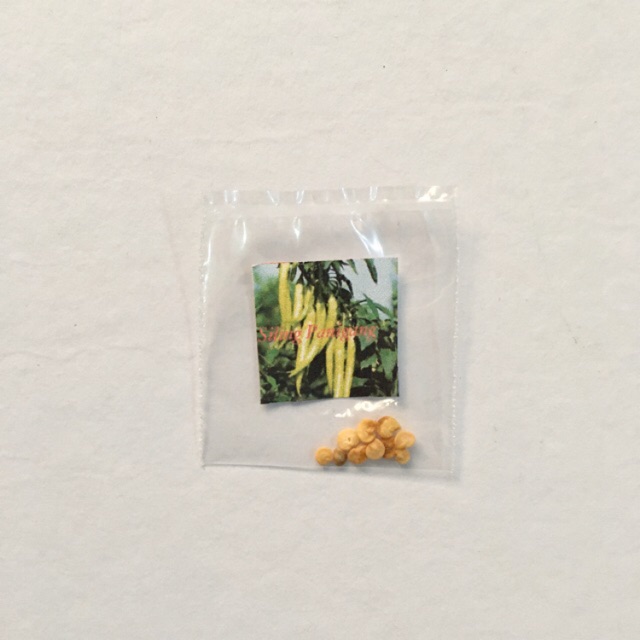 Siling Panigang/ Siling Green Seeds | Shopee Philippines Siling Panigang/ Siling Green Seeds | Shopee Philippines