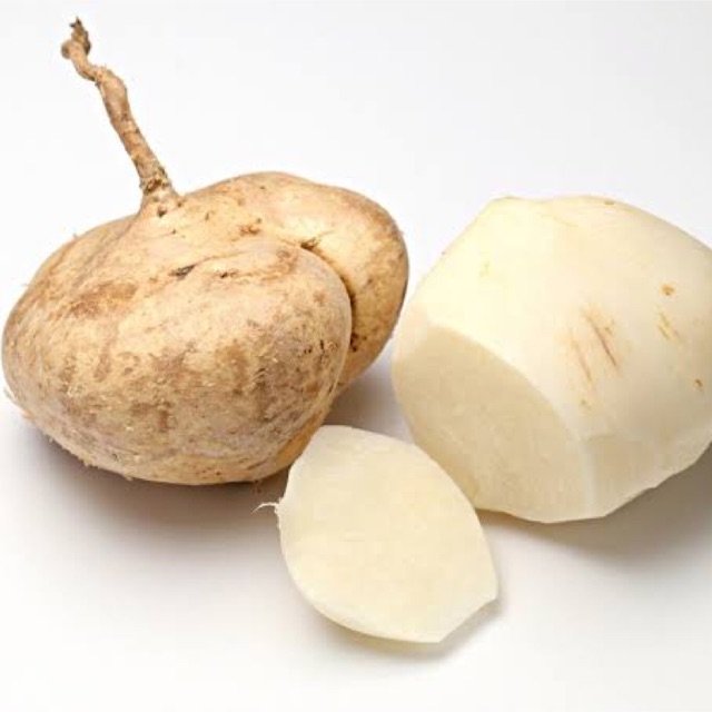 Singkamas (turnip) seeds | Shopee Philippines