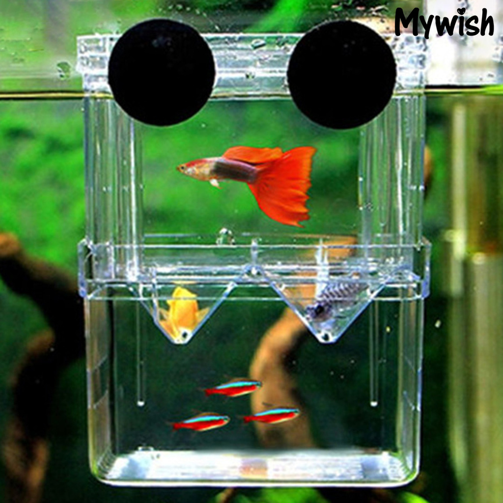 Highly Transparent Acrylic Self Floating Fish Breeding Isolation Box ...