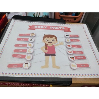 Parts of the Body Chart (Velcro Chart) | Shopee Philippines