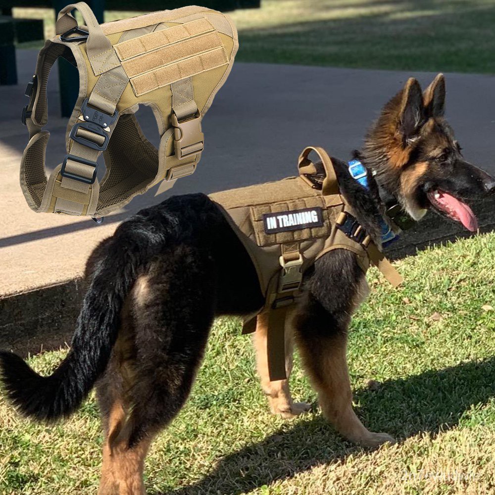 German Shepherd Tactical Vest