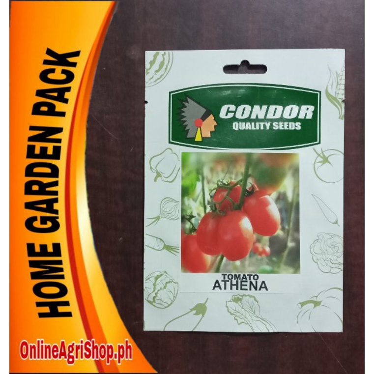 ATHENA OPV TOMATO SEEDS 3 GRAMS (CONDOR) | Shopee Philippines