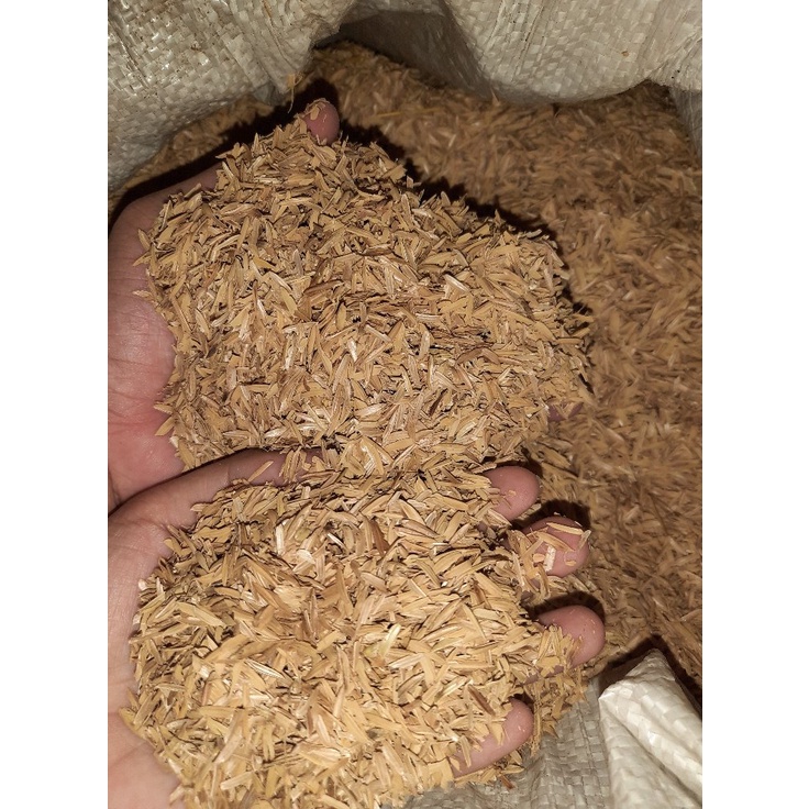 1000g Pure and organic rice hull / rice husk / ipa ng palay / palayan ...