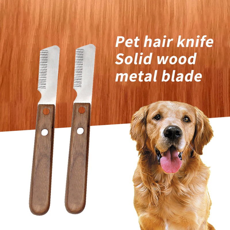 Are Cats And Dogs Handed Or Right Handed