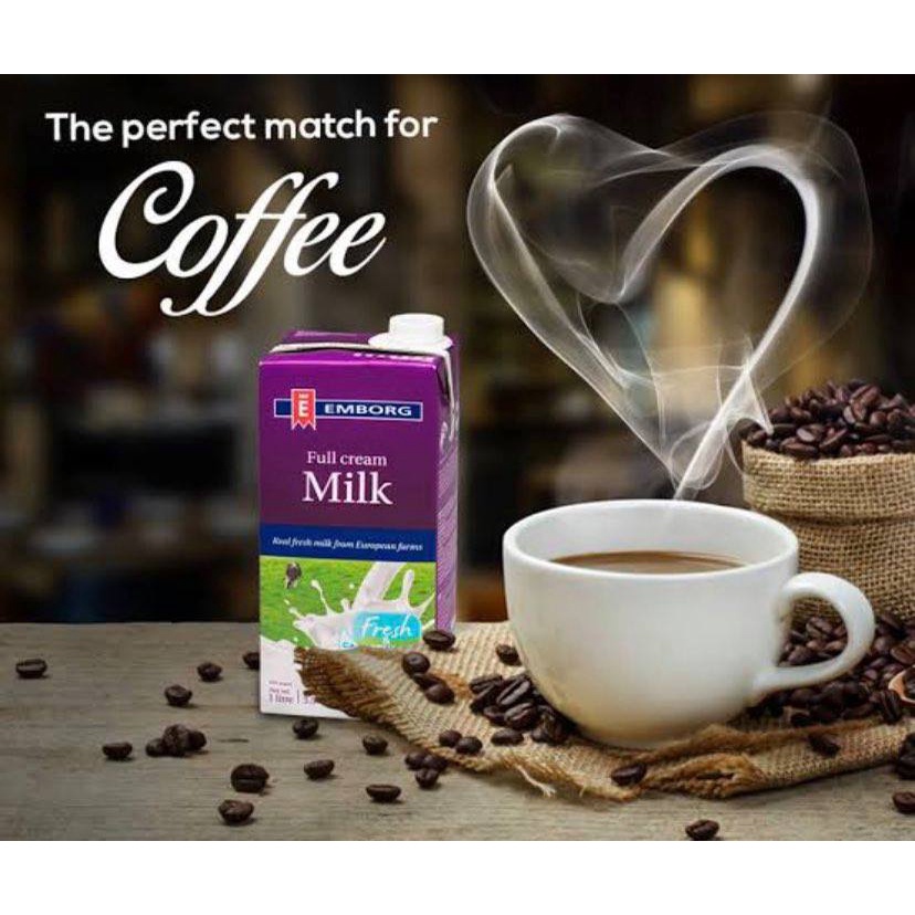 Emborg Full Cream Milk 1L | Shopee Philippines