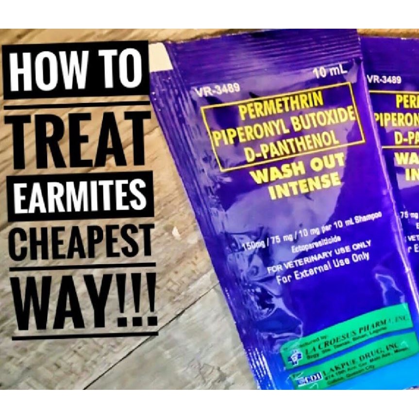 Wash Out Intense Animal Shampoo 10ml Sachet Anti Garapata Earmites ...