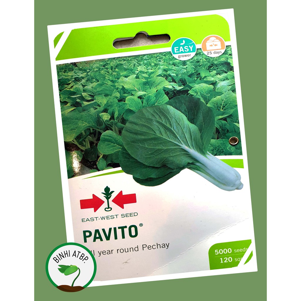 East-west Pavito Pechay Seeds (1 Pack - 5,000 Seeds) | Shopee Philippines