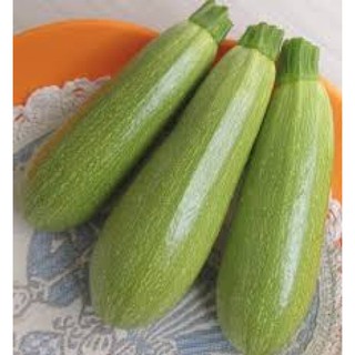 Grey Zucchin Seeds | Mexican Gray Squash Seeds | Shopee Philippines