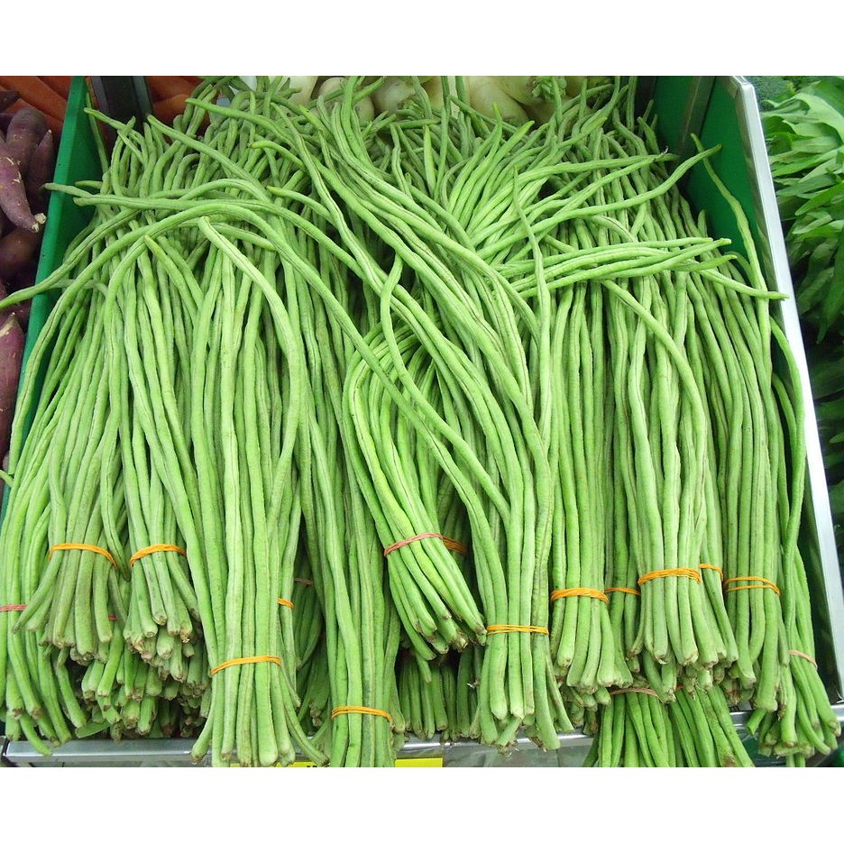 Green Long Beans Sitao Vegetable Seeds ( 40 seeds ) - Basic Farm House ...