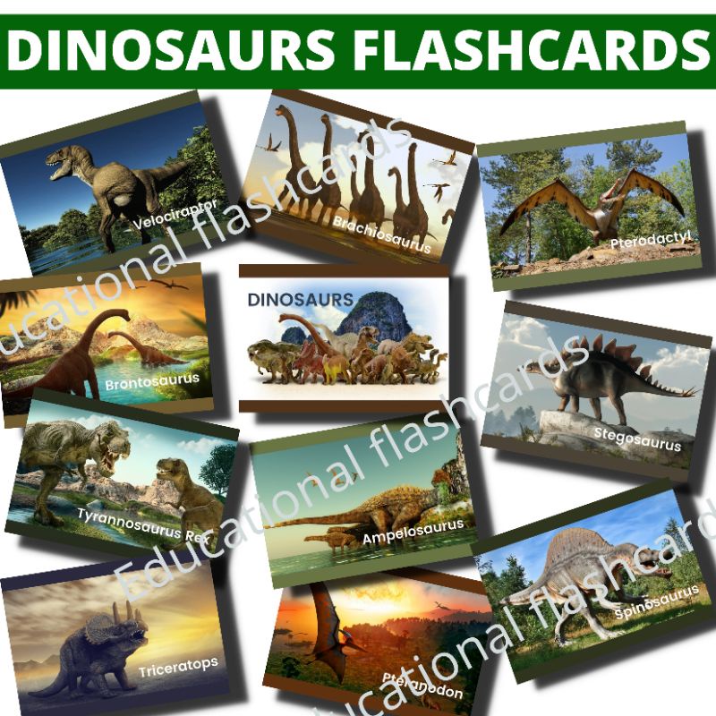 Dinosaurs Flashcards and Dinosaur Charts for kids, Science Flashcards ...