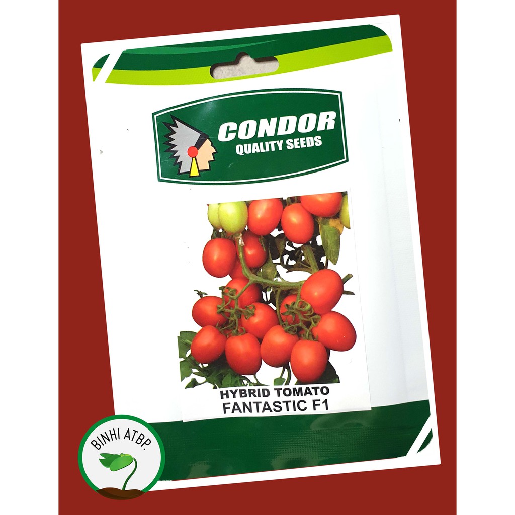 Condor Hybrid Tomato Fantastic F1 Seeds (0.5 Gr Pack) | Shopee Philippines