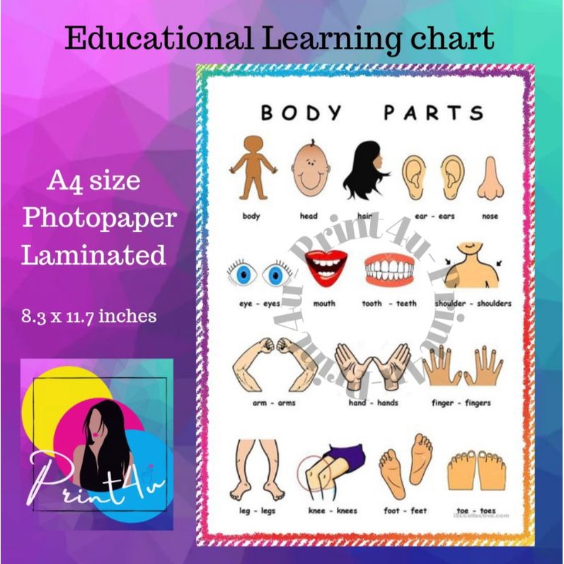 Body Parts Kids Learning chart Laminated | Shopee Philippines