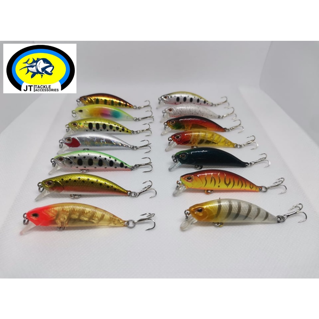 5g 50mm Replica Sinking Minnow Fishing Lure | Shopee Philippines