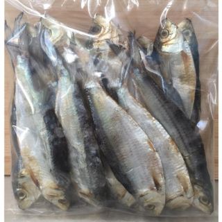 Conde Highlands, Online Shop | Shopee Philippines