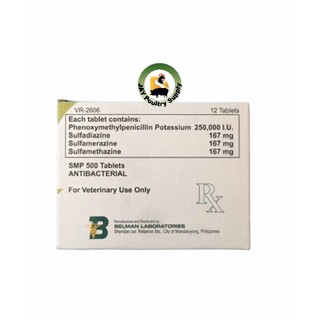 SMP 500 antibacterial 1box contains 12 tablets | Shopee Philippines