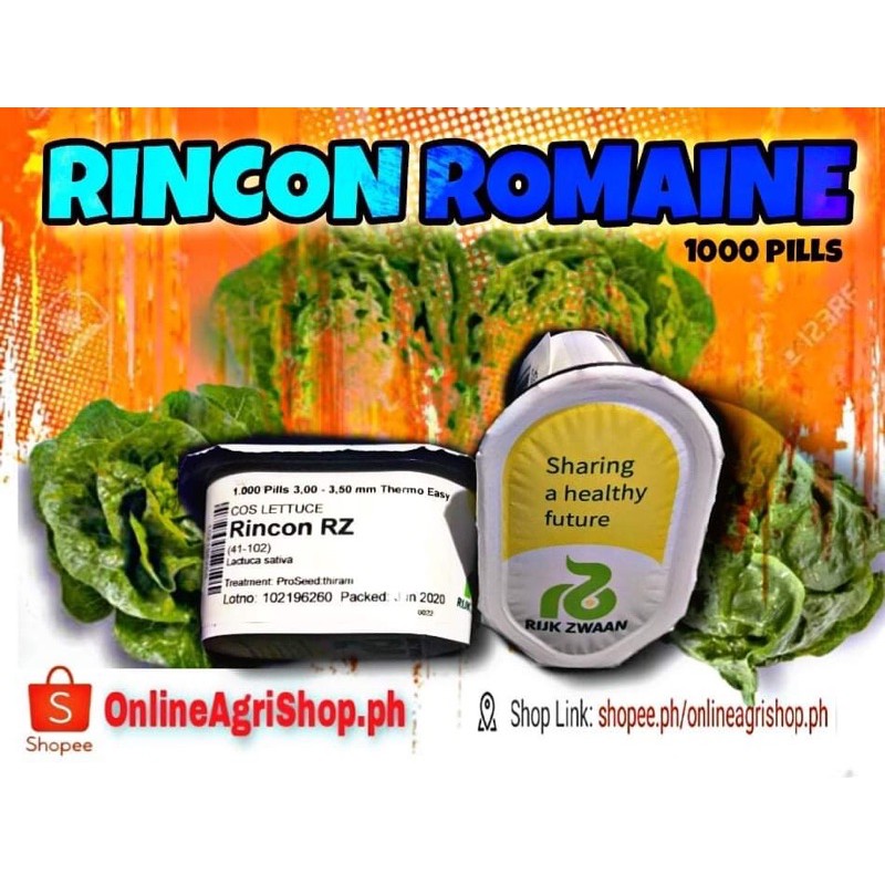 Rincon RZ SEEDS Cos MINI ROMAINE Lettuce 1,000 pills (Rijk Zwaan ...