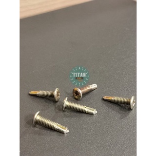 100pcs - #6 #10 Wafer Tek Screw / Wafer Teks (Bright Zinc / Galvanised ...