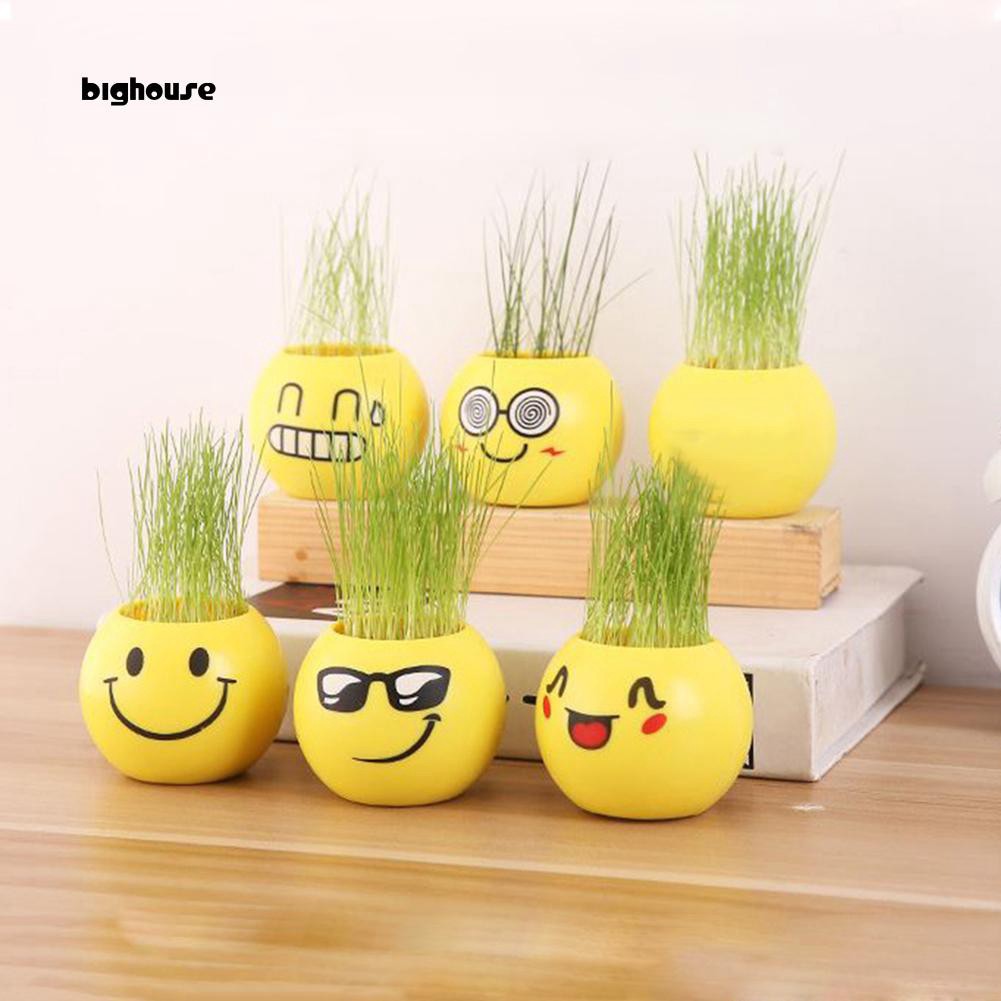 Emoji Flower Pot | Best Flower Site