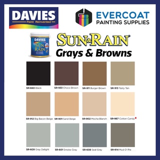 Davies Paints for Concrete Sun & Rain 4-Liters (Grays & Browns ...