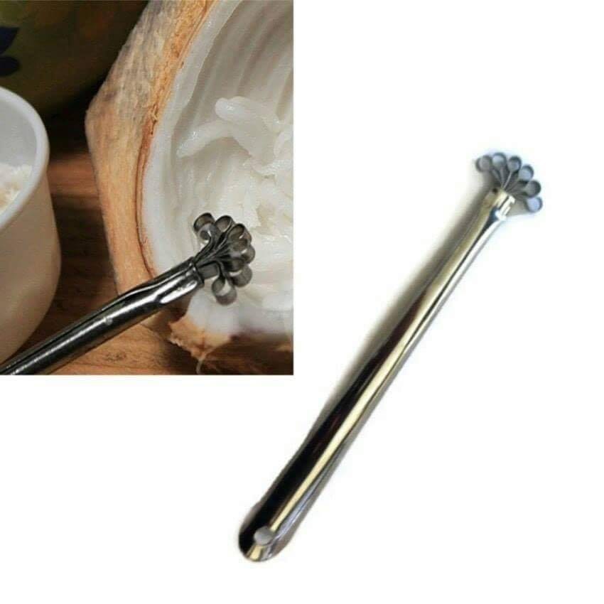 Stainless Coconut Melon Cantaloupe Grater Meat Remover Coconut Meat ...