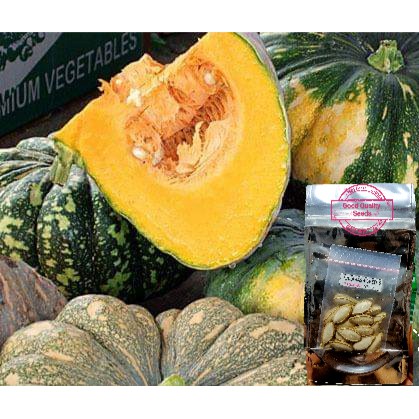KALABASA SEEDS "MALAGKIT" SQUASH VARIETY | Shopee Philippines