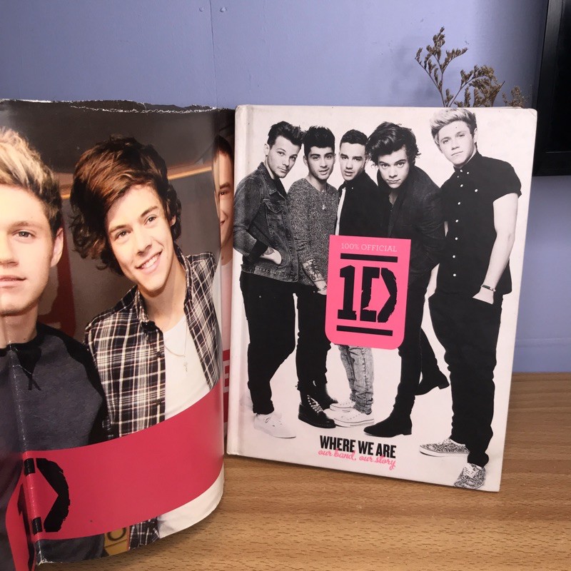 One Direction Where We Are Book Cover