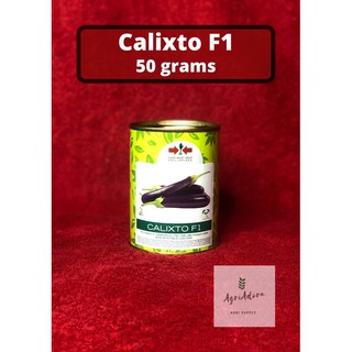Calixto F1 Hybrid Eggplant Seeds 50 grams (East-west Seed) | Shopee ...