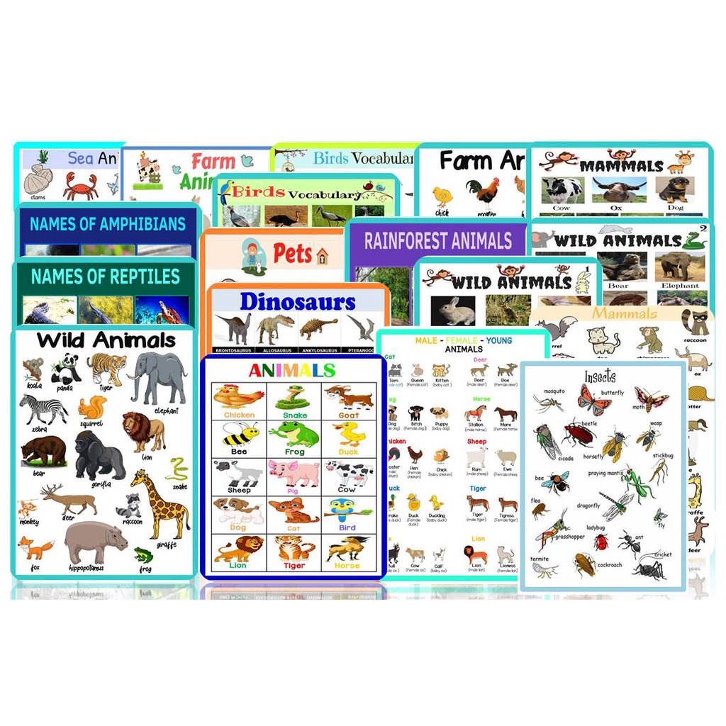 SCIENCE CHARTS A4 LAMINATED | Shopee Philippines