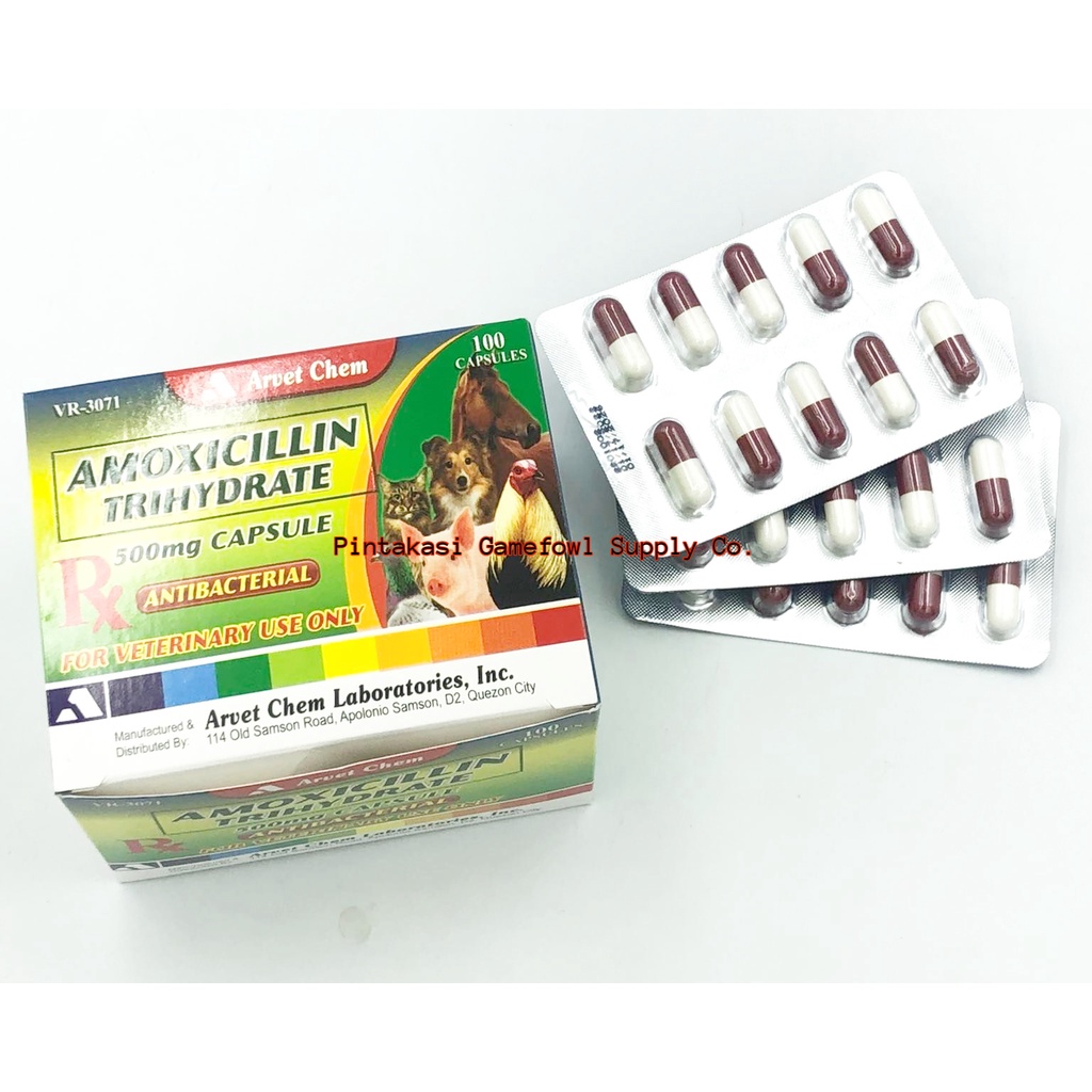 10 capsules Arvet - Chem Amoxicillin Trihydrate 500mg Antibacterial for ...