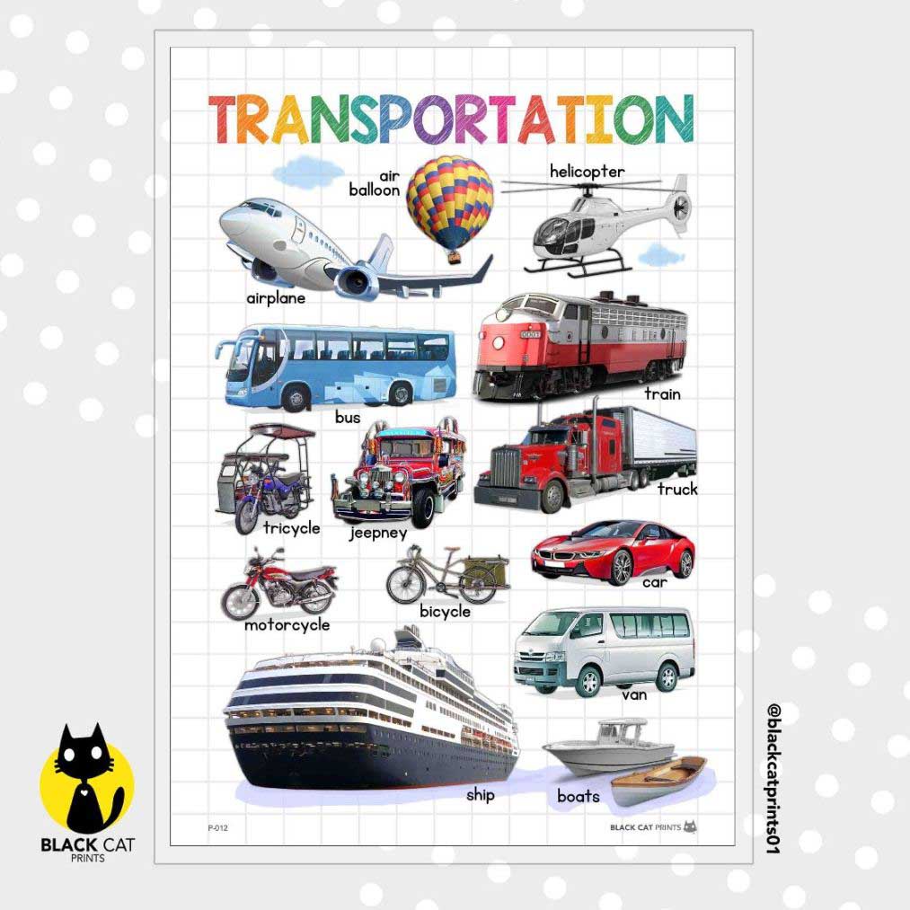 Transportation Educational Chart Poster (High Quality Prints / A4 Size ...