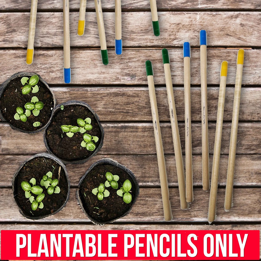 ️ SE Ecò Plantable Pencil (Sprout) - Pencils Only - [Giveaway/Souvenir ...