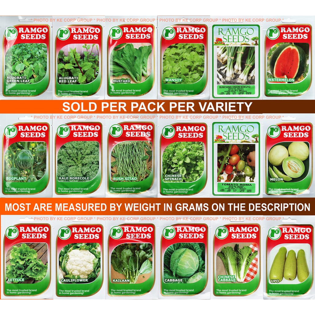 Ramgo Seeds Sold Per Pack Per Variety - Alugbati Cabbage Bunching Onion ...