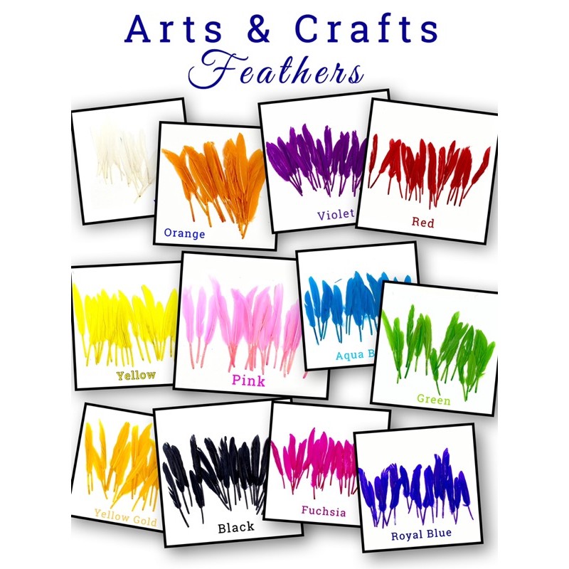 FSI Feather Small arts and crafts colored feathers | Shopee Philippines