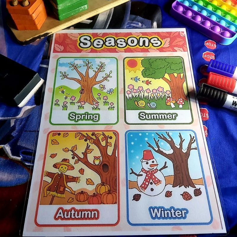 A4 SEASONS Laminated Educational Wall Chart for kids | Shopee Philippines