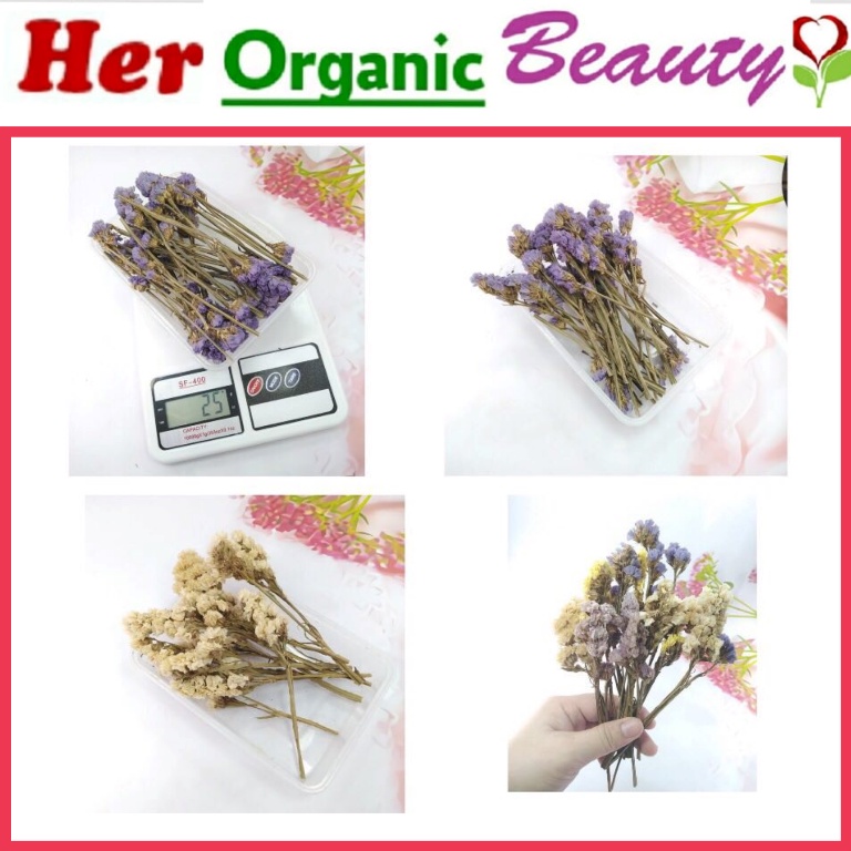 Dried STATICE Flowers in a Tub for Decoration, Resin Art, Scrapbooking ...