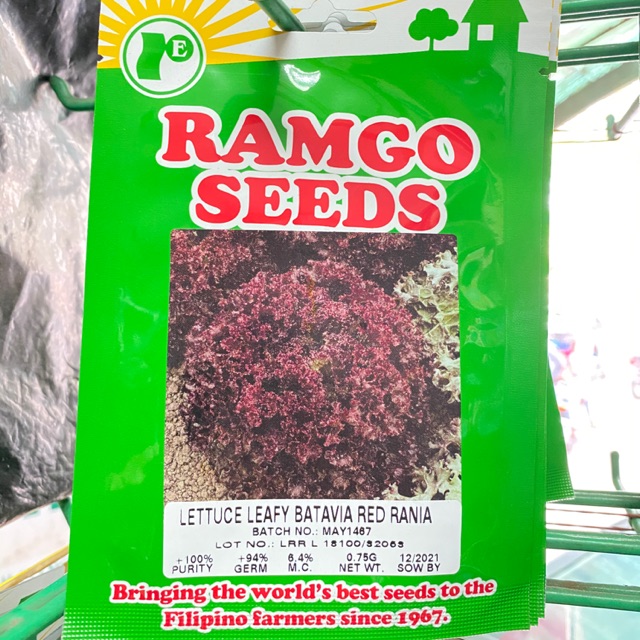 RED LETTUCE SEEDS PACK SIZE - RAMGO SEEDS LETTUCE LEAFY BATAVIA RED ...