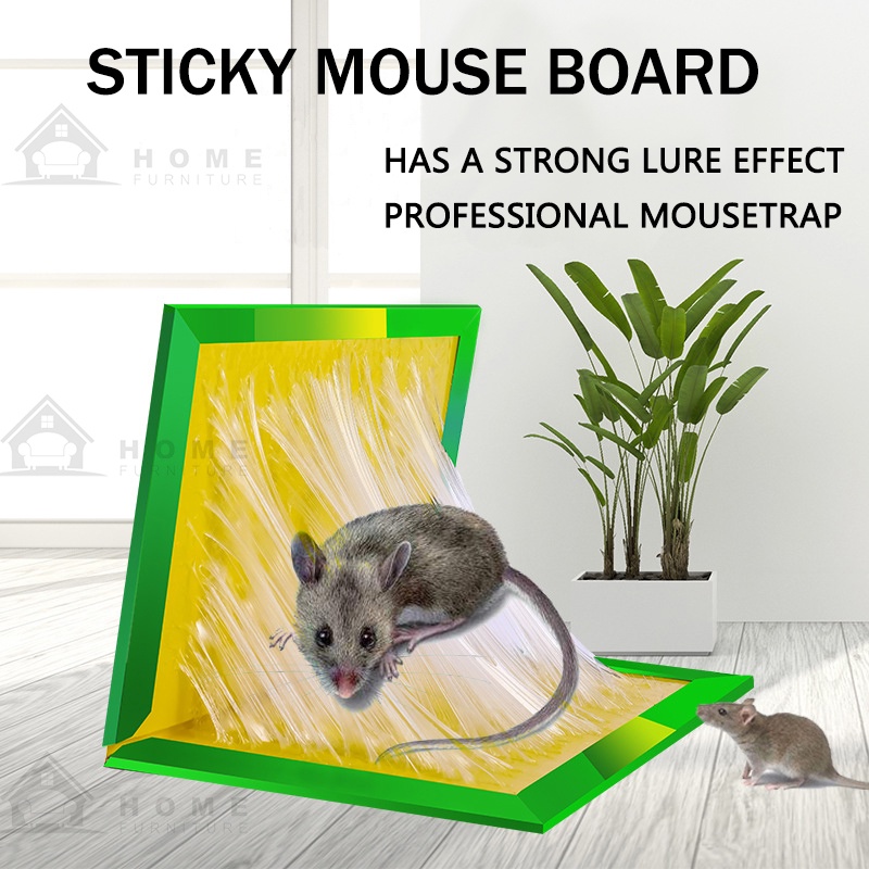 Mouse Sticky Mice Rodent Glue Board Bait TrapTrap Sticker 30X20.5CM ...