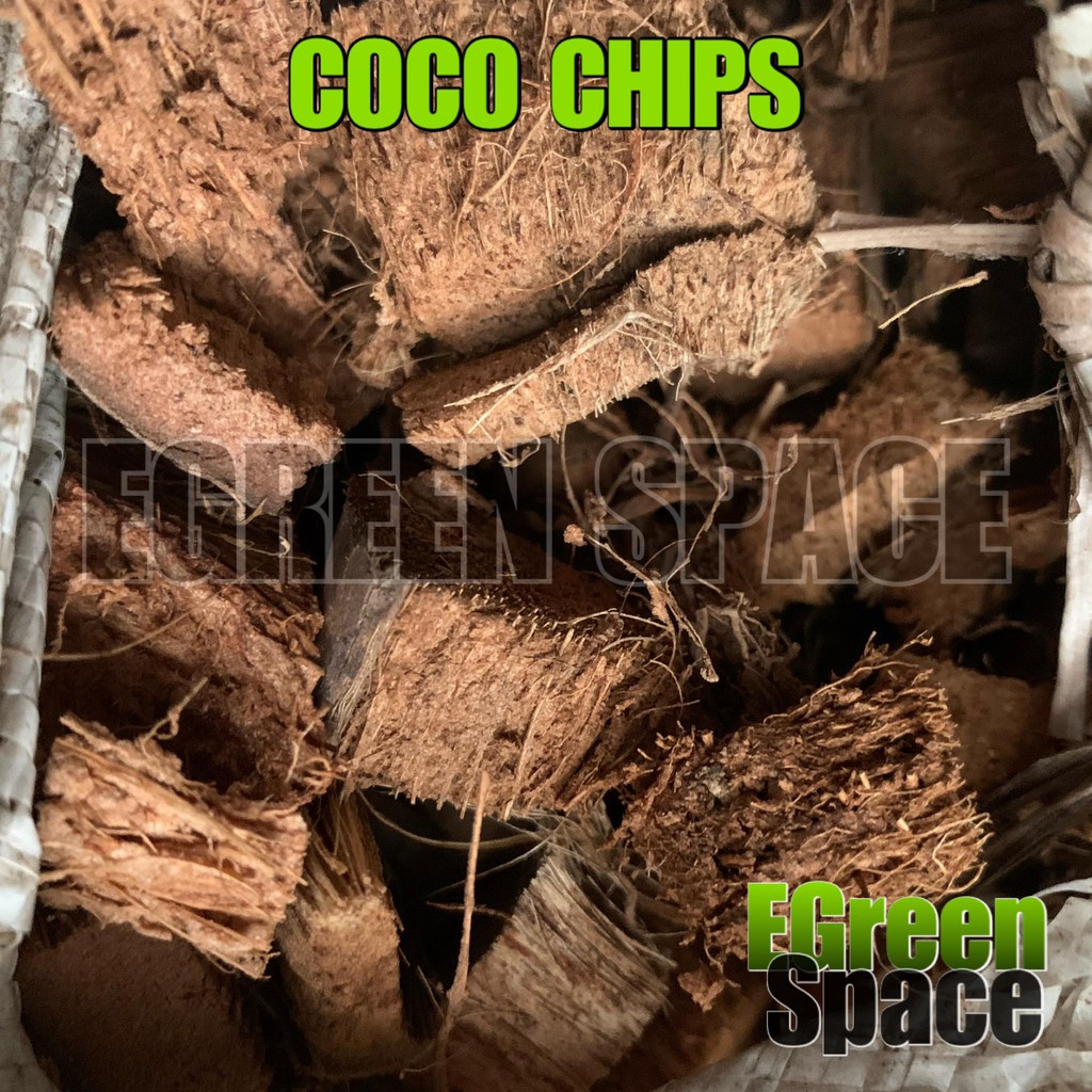 COCO CHIPS CHUNKS CUBES CHAPS - 200grams | Shopee Philippines