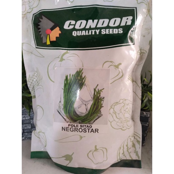 Condor Pole Sitao Negrostar (1kg) | Shopee Philippines