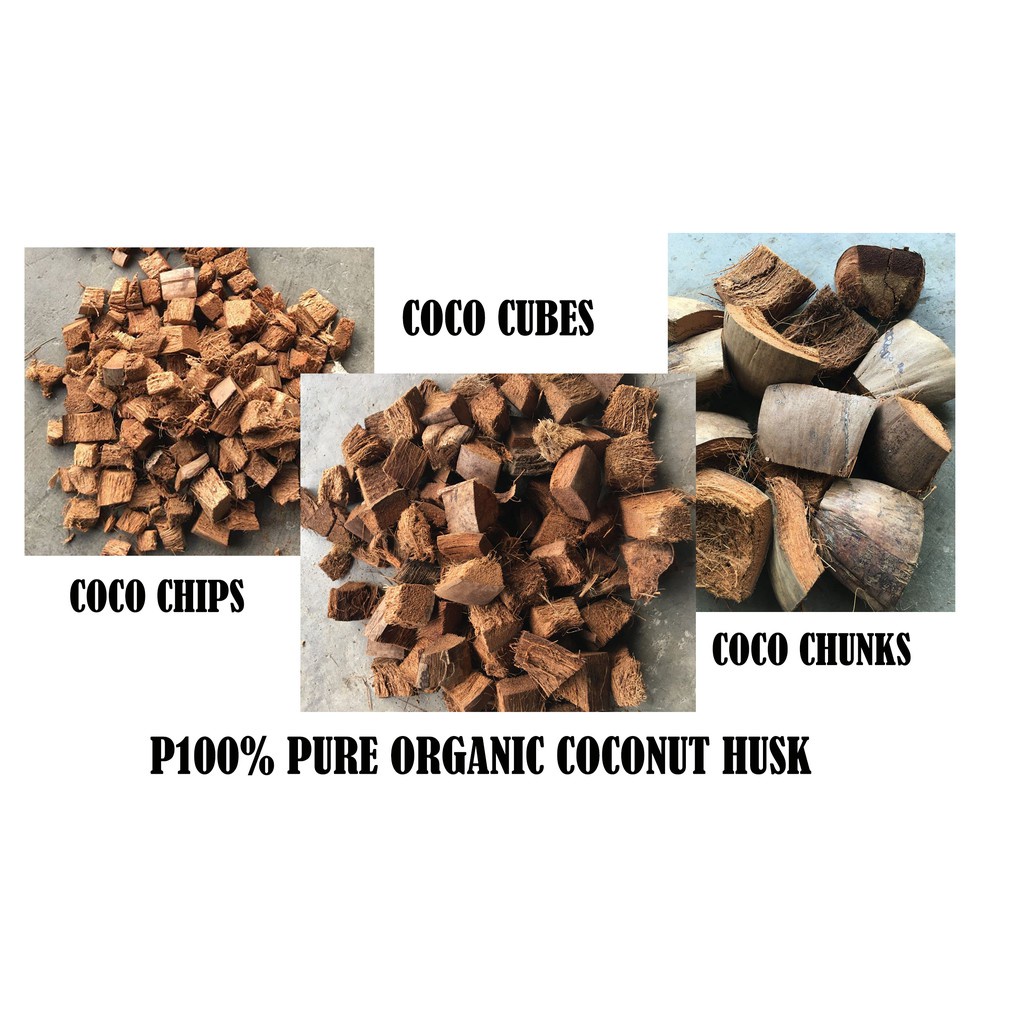 ON HAND CASH ON DELIVERY COCO CHIPS/COCO CUBES /COCO CHUNKS 200-300 ...