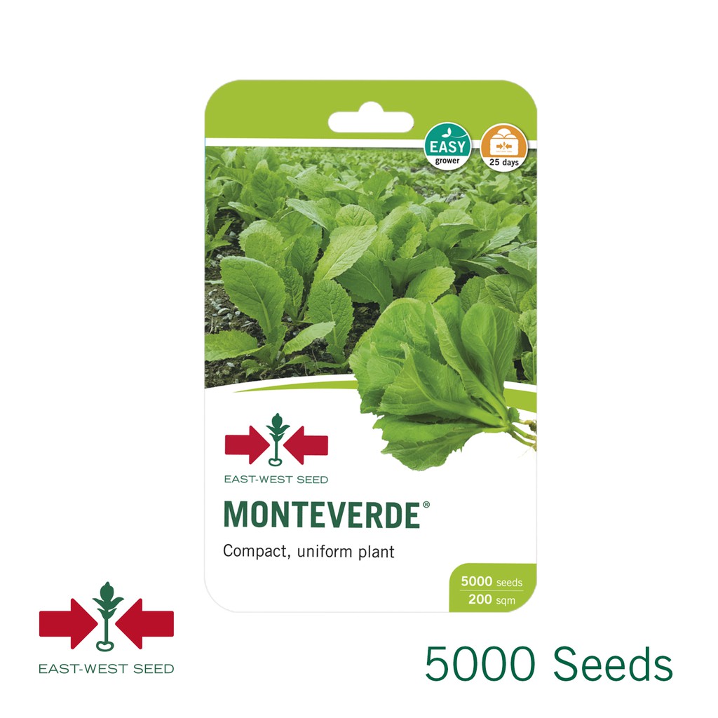 Eastwest Seed [MONTEVERDE] Mustasa/Leaf Mustard Go Grow Pack | Shopee ...