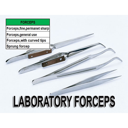 Laboratory Forceps