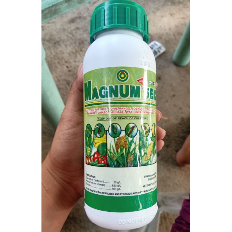 MAGNUM 500ML ......... | Shopee Philippines
