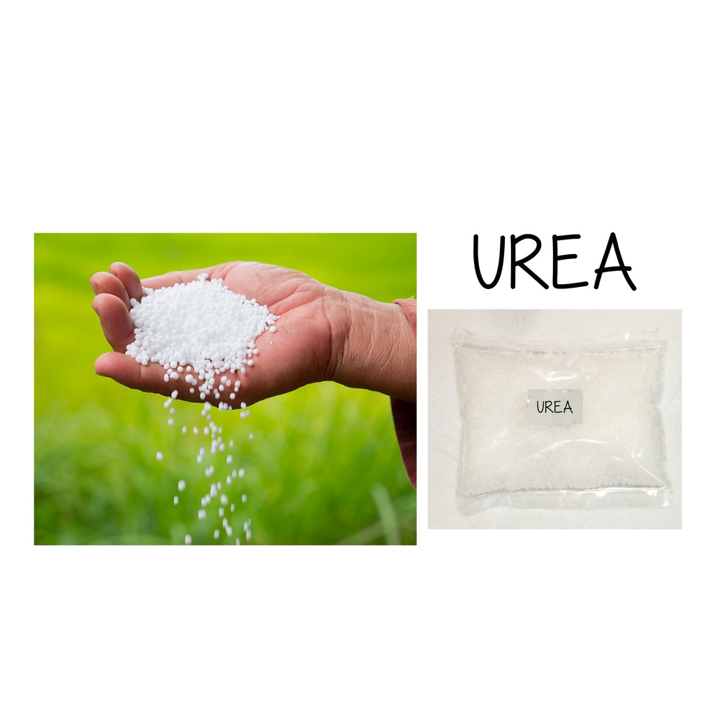 urea plant food source 25g 50g 100g | Shopee Philippines