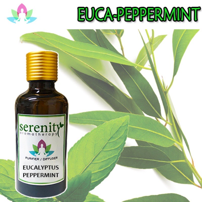 Serenity Aromatherapy Eucalyptus Peppermint Water Soluble Oil for Air ...