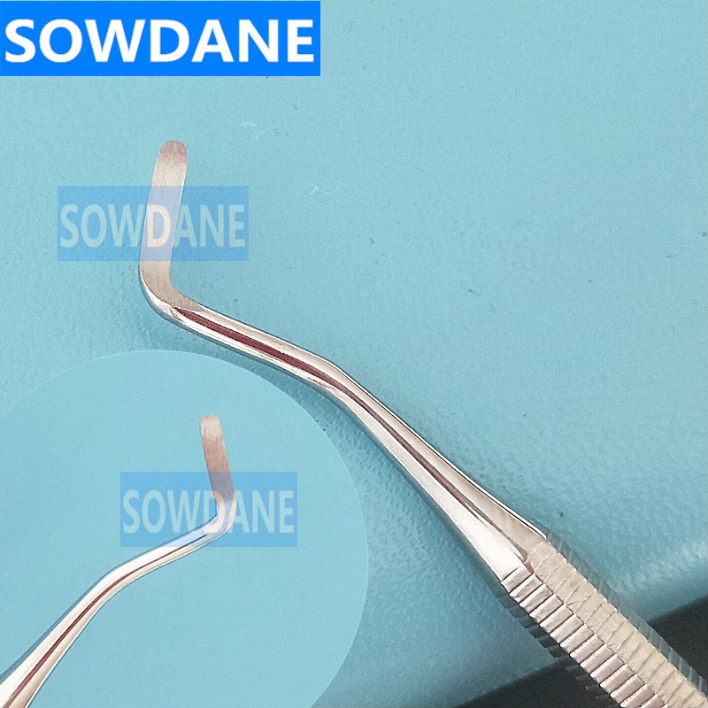 2 pcs Dental Gingival Retraction Cord Packer Tool Dental Scaler ...